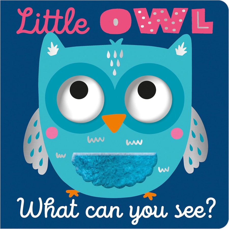 Storytime: Owls! – Librarian Ginny