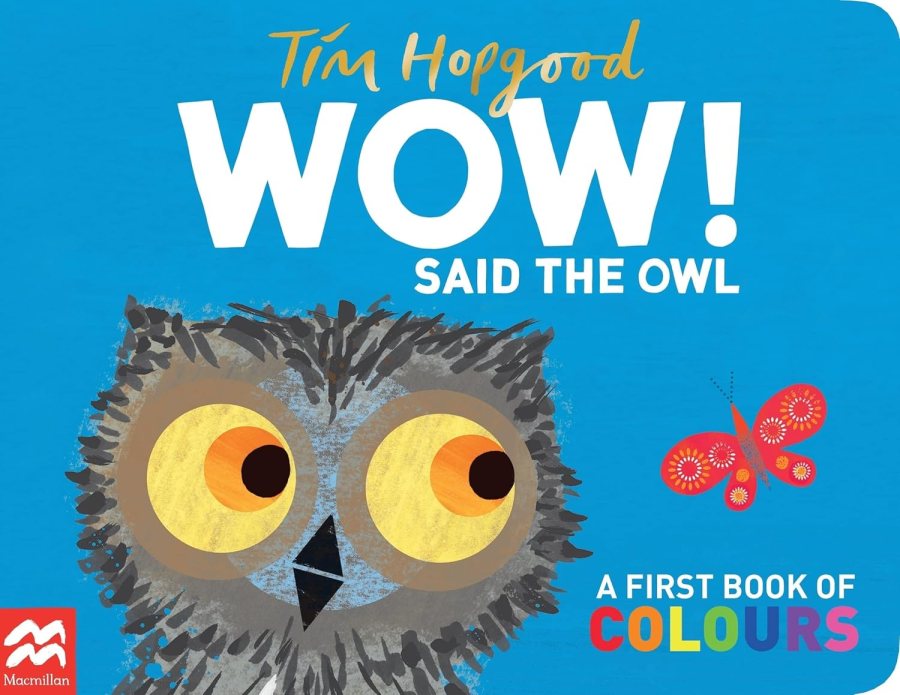 Storytime: Owls! – Librarian Ginny